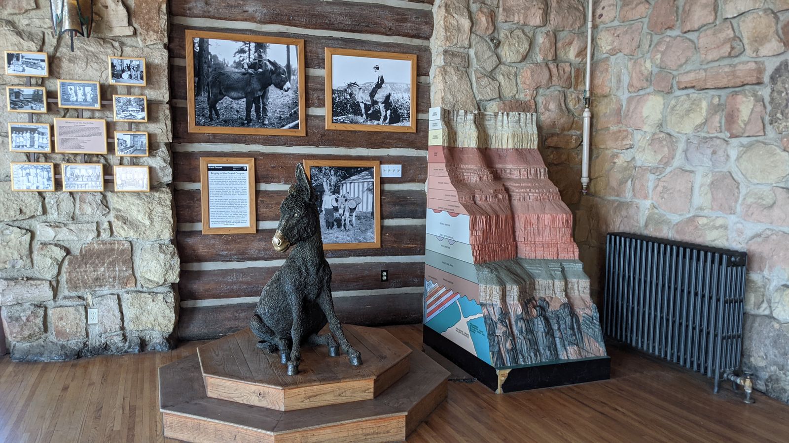 Grand Canyon North Rim with Dogs